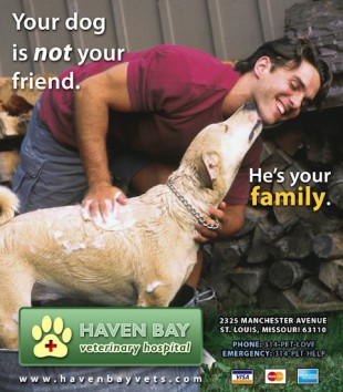 Vet Hospital Advertisement | Harvill Design